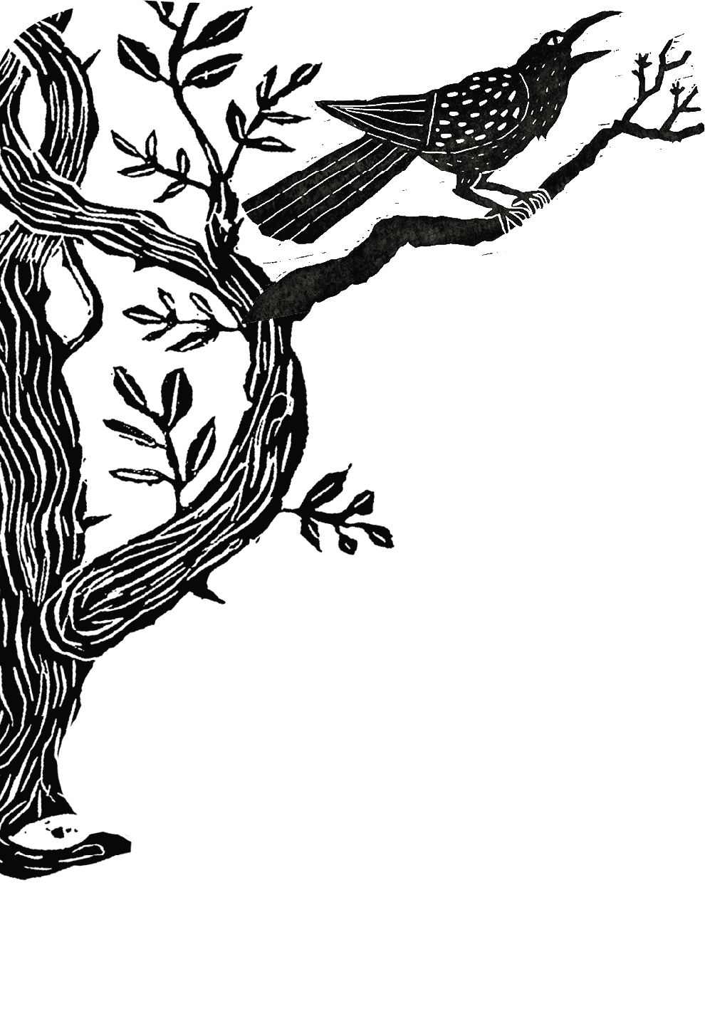 Story of Poitin - Mad March Hare